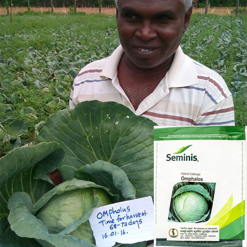 Omphalos | Agro-Culture