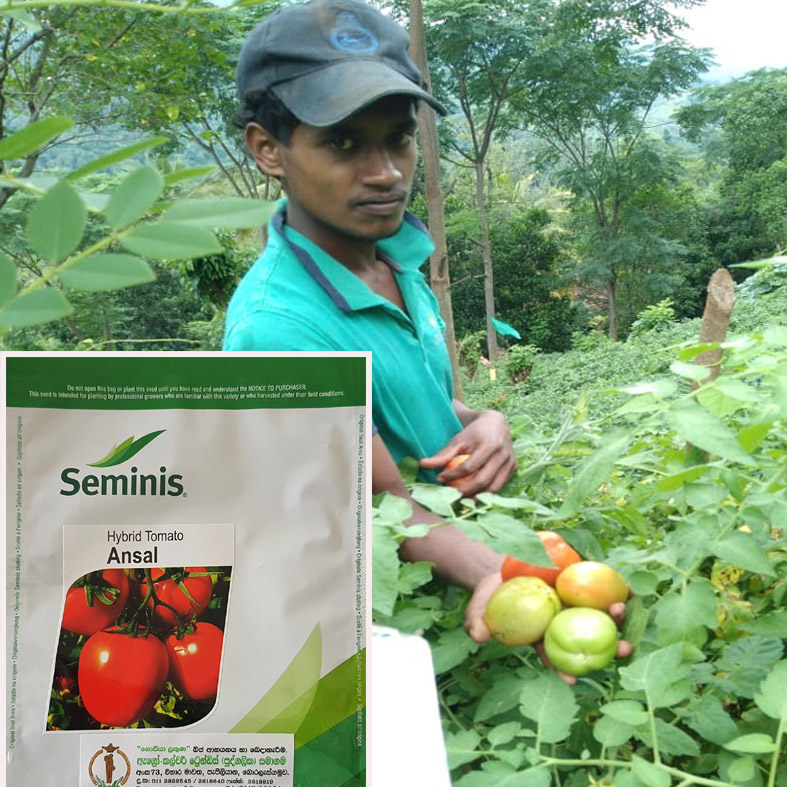 Ansal | Agro-Culture