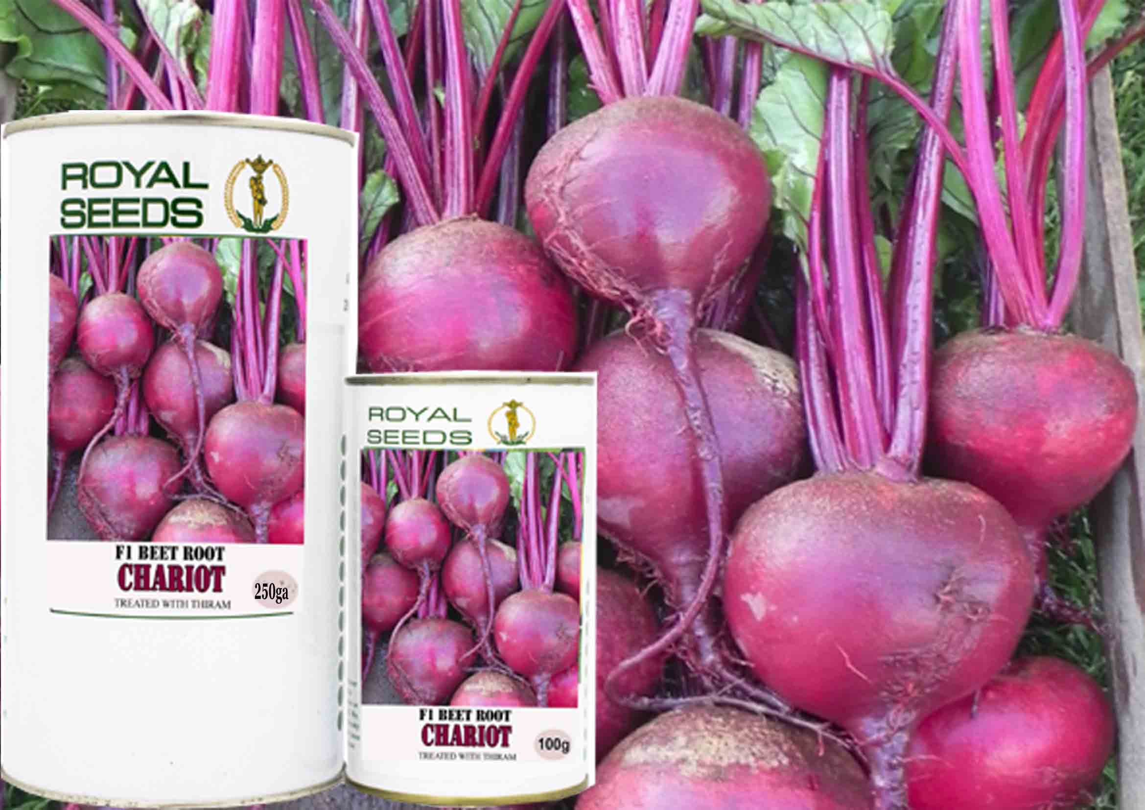 Beet | Agro-Culture