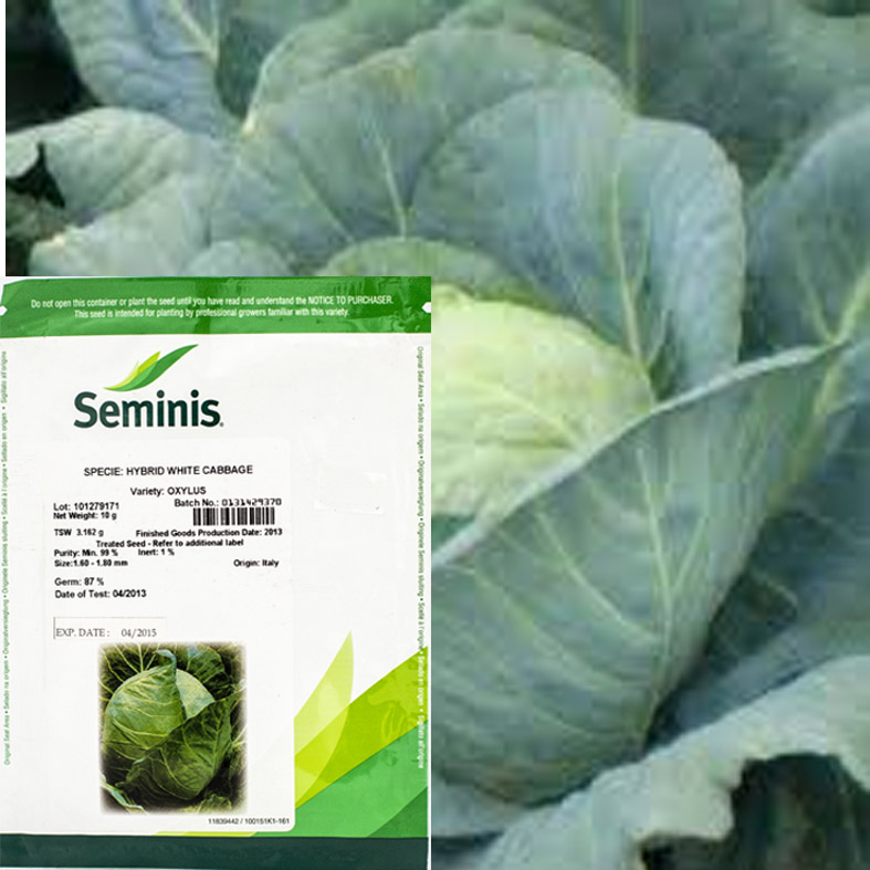 Oxylus | Agro-Culture